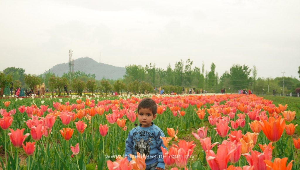 10 Hari 9 Malam Trip Rare Jelajah India Golden Tringle dan Kashmir